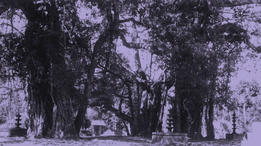 Welcome to the Temples of God’s Own Country